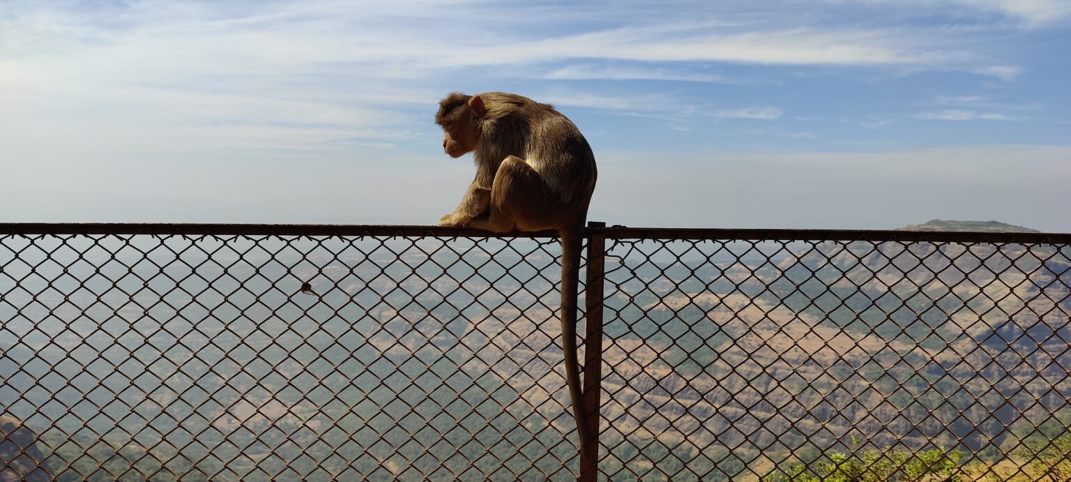 10 Best Places to Visit in September in India for Budget Travelers